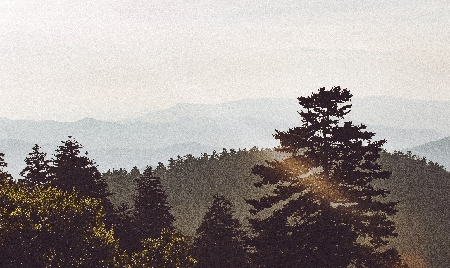 World Photography Day: The Best Photo Locations in the Smoky Mountains